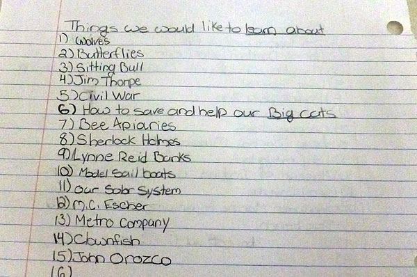 The Unschooled Version Of A Seventh grade ish Curriculum Plan For 2012 
