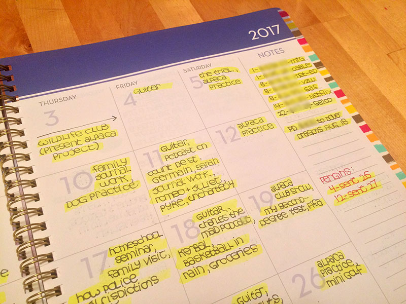 Our unschooling planner system: Documenting relaxed homeschooling ...